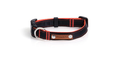 Nylon Bonding Collar – Bow Wow London
